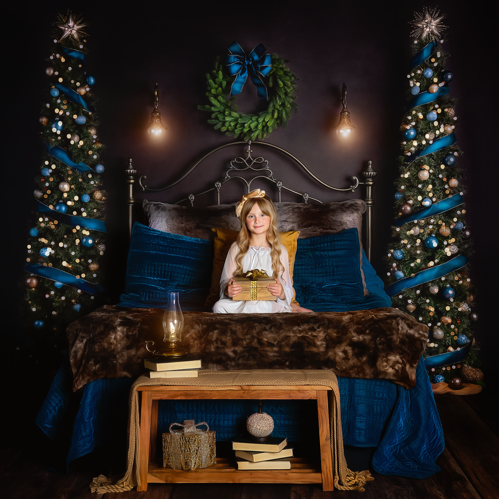 Serene Winter's Eve - Room – Fancy Fabric & Props