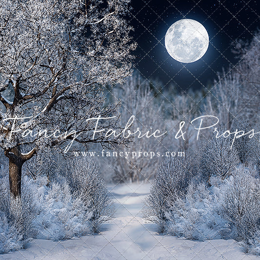 Frosty Winter Night - with Sweep Option – Fancy Fabric & Props