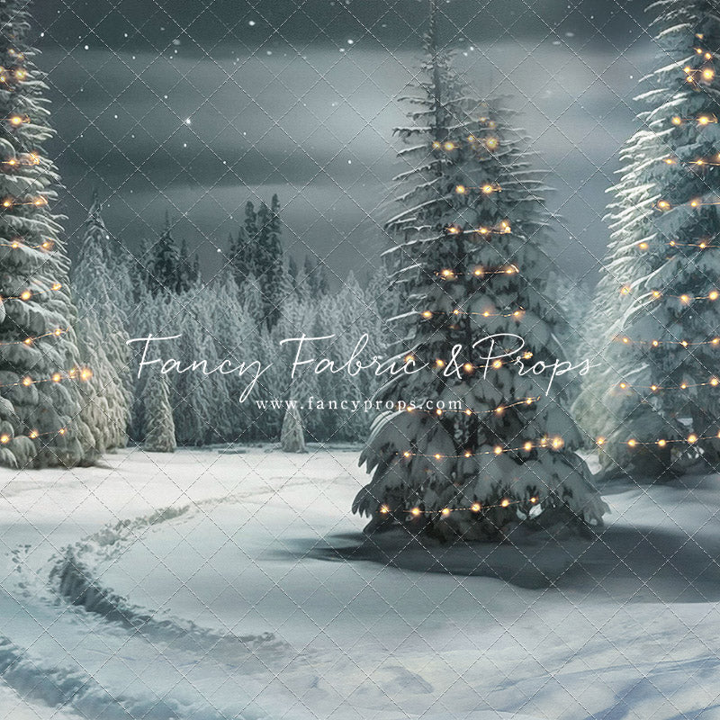 Snowy Lane – Fancy Fabric & Props