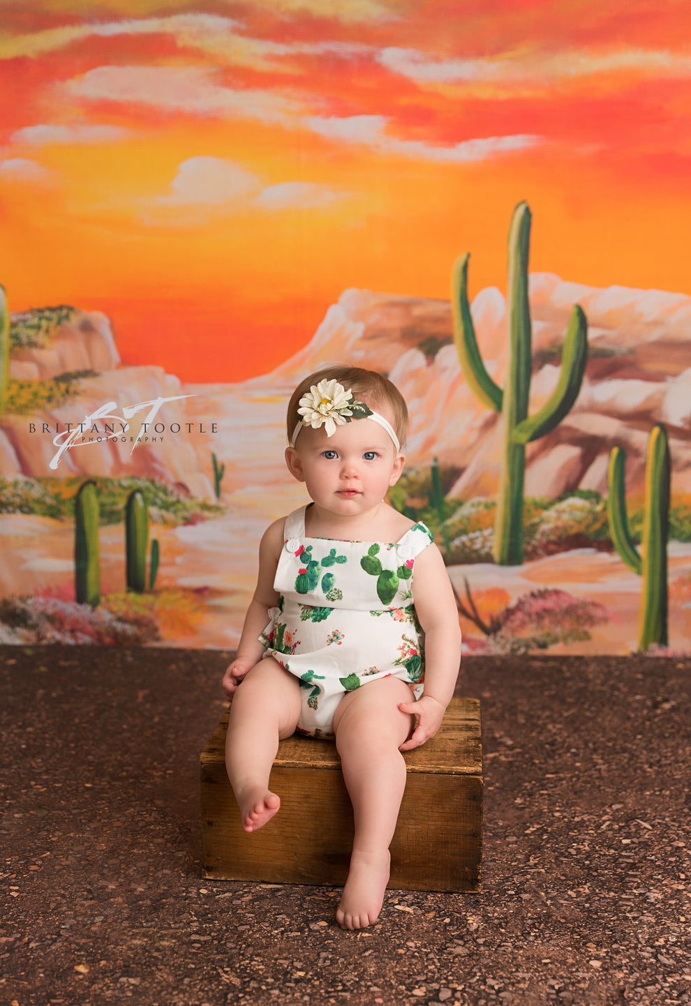 Desert Sunset – Fancy Fabric & Props