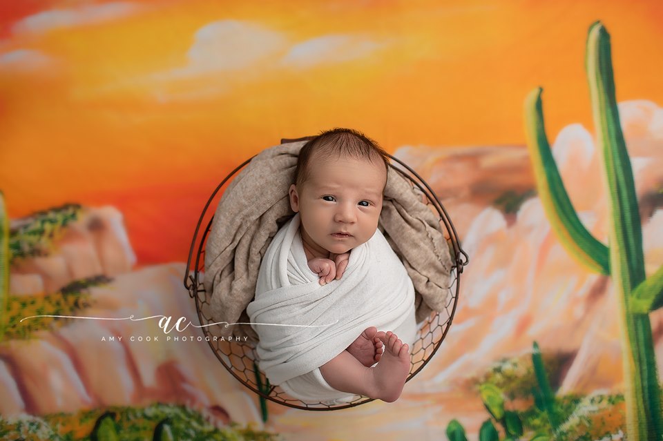 Desert Sunset – Fancy Fabric & Props