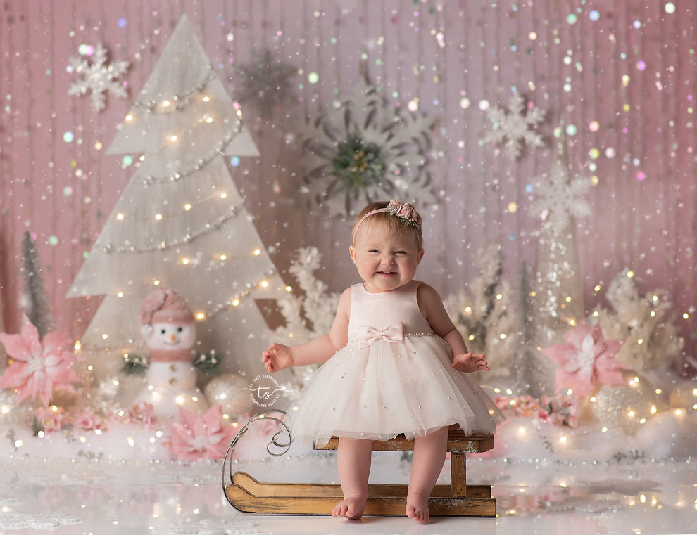 Rosy Winter Wonderland – Fancy Fabric & Props