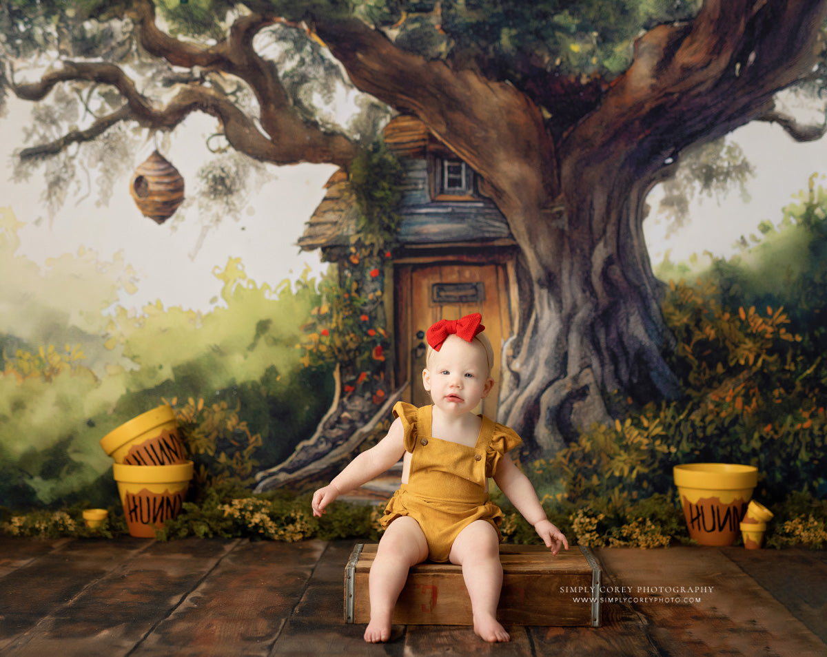Pooh's Door – Fancy Fabric & Props