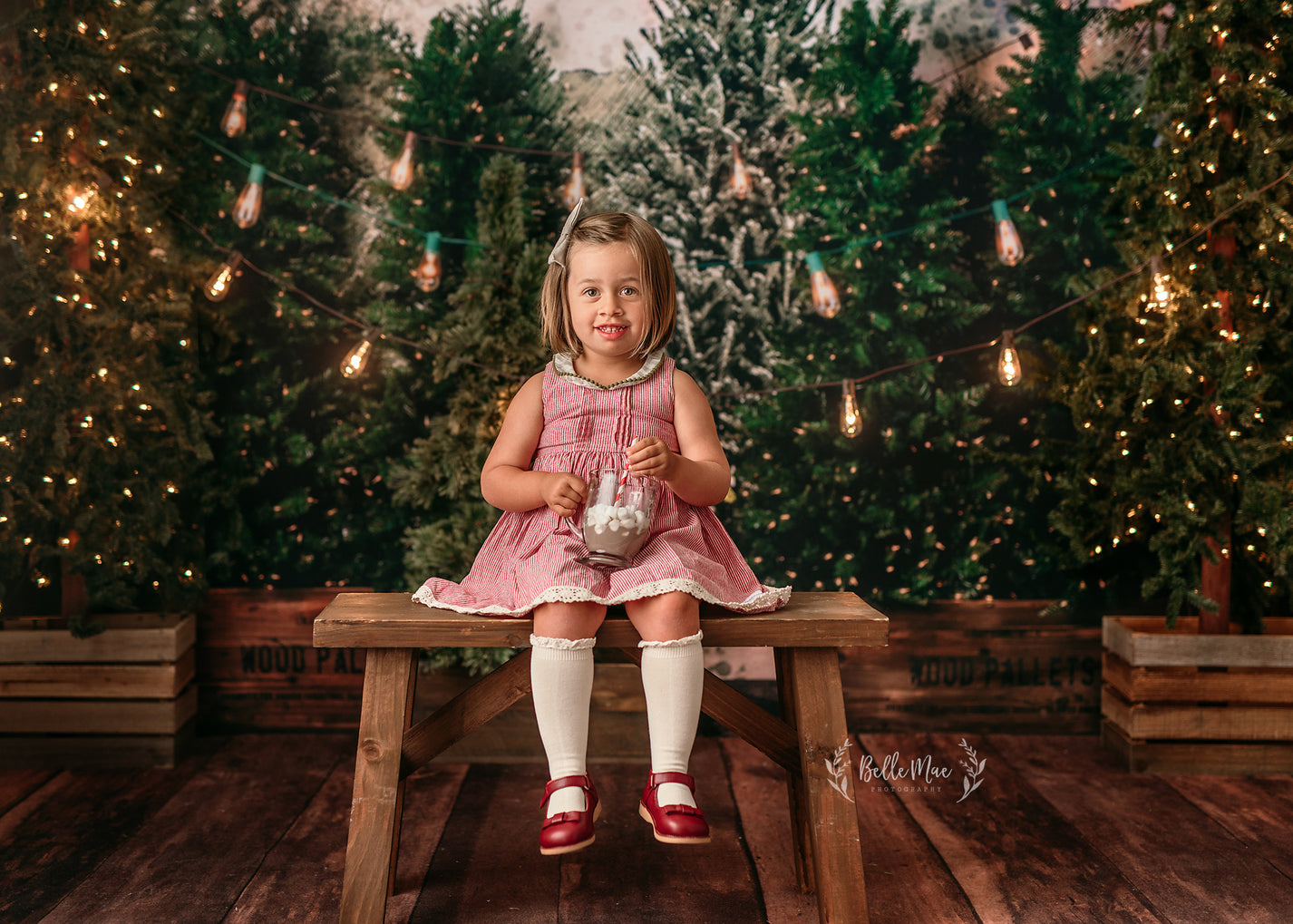 Pine Tree Forest – Fancy Fabric & Props