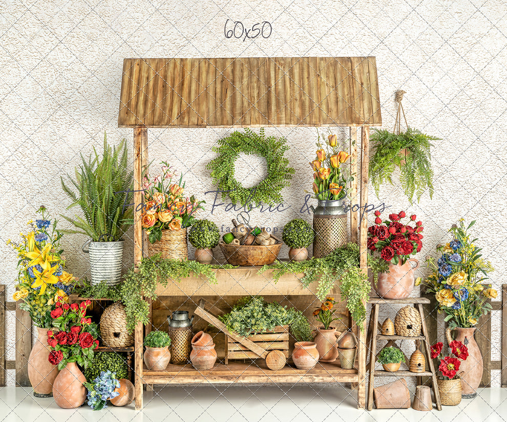 Pottery & Plants – Fancy Fabric & Props