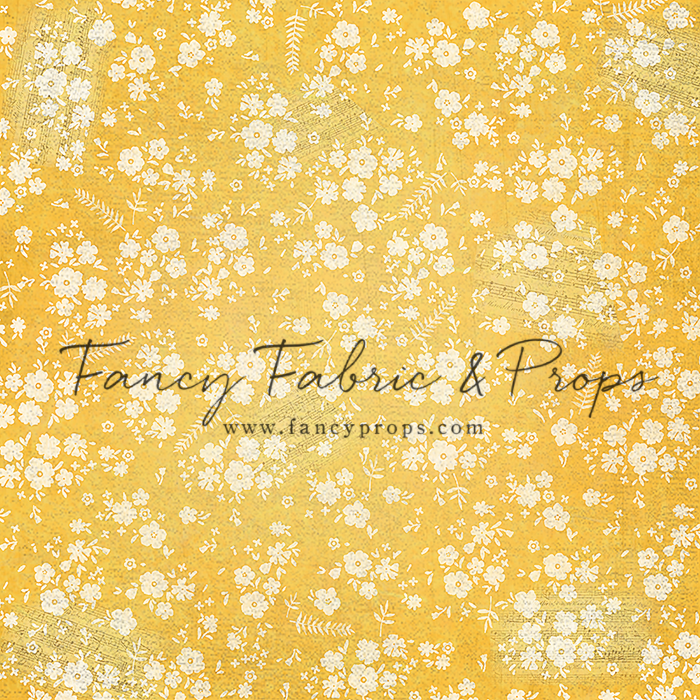 Sarah – Fancy Fabric & Props