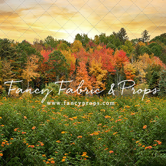 Autumn Sunset Field – Fancy Fabric & Props