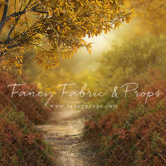 Dreamy Evening Path - With Sweep Option – Fancy Fabric & Props