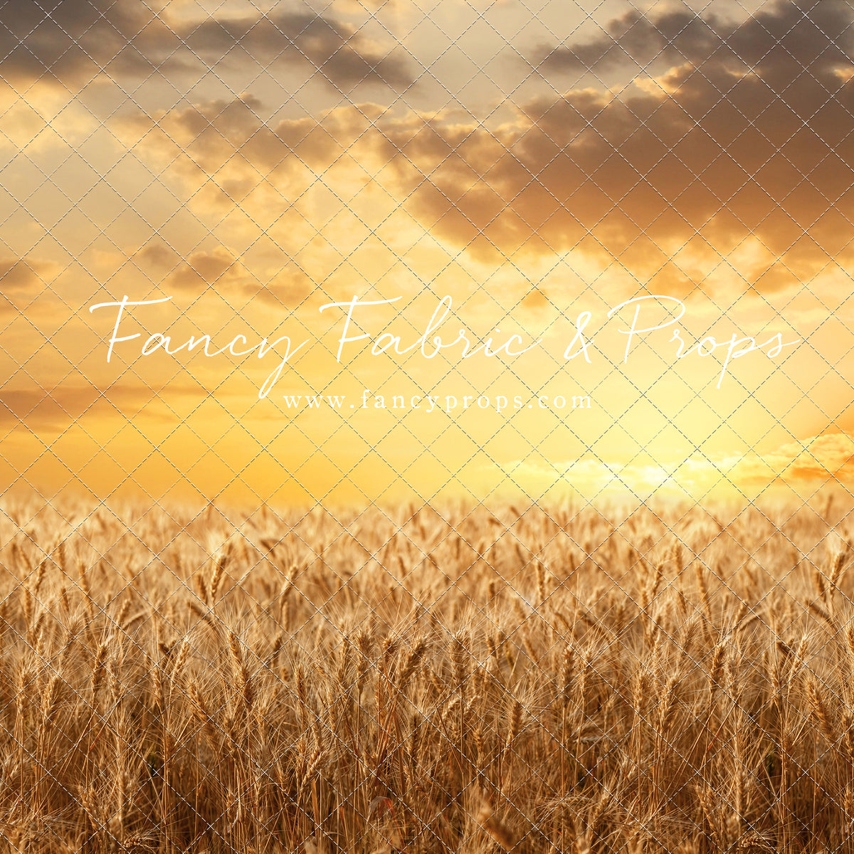 Golden Wheat Field – Fancy Fabric & Props