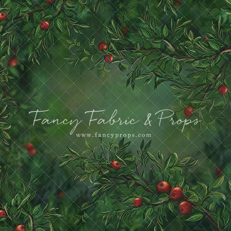 Snow White – Fancy Fabric & Props